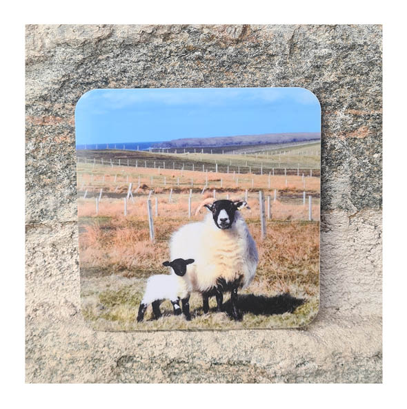 Sheep and lamb coaster | Comunn Eachdraidh Nis
